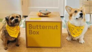 Butternut Box Review + Kortingscode: Onze eerlijke mening
